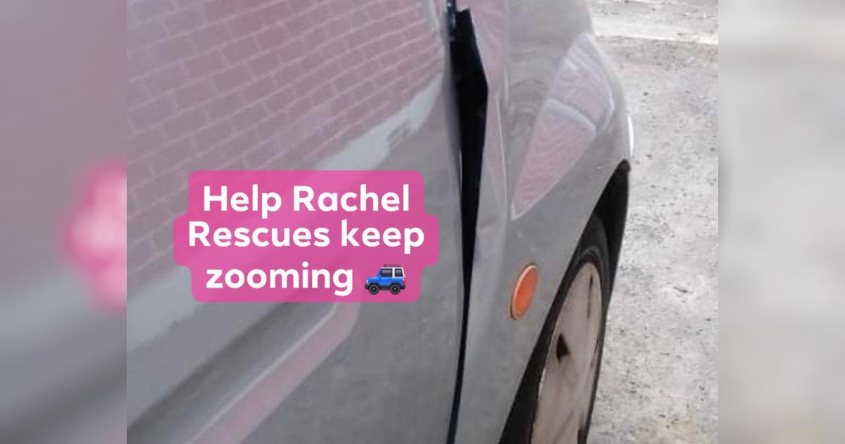 Rachel Rescues needs a new ride - Givealittle