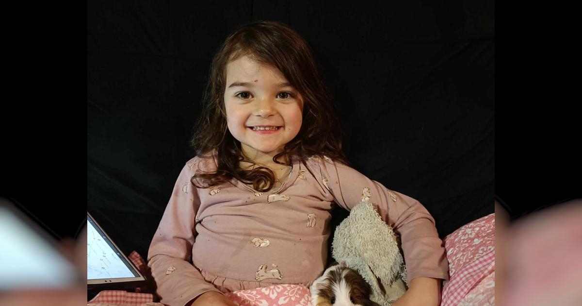 Little willow surgery - Givealittle