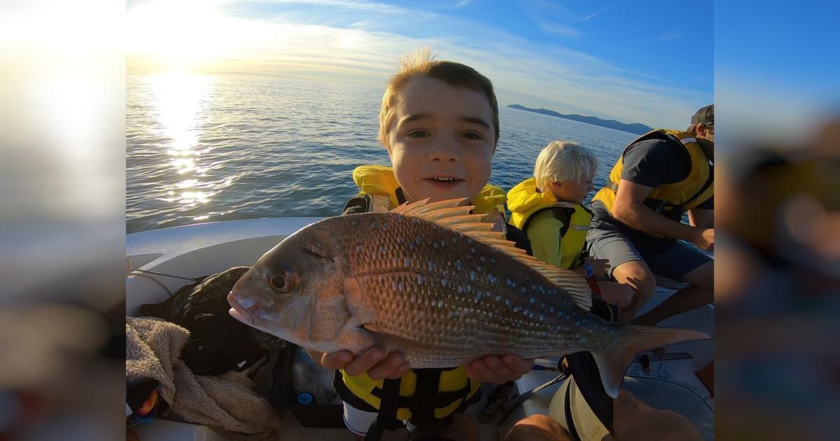 Harper’s Dream Pool - Givealittle