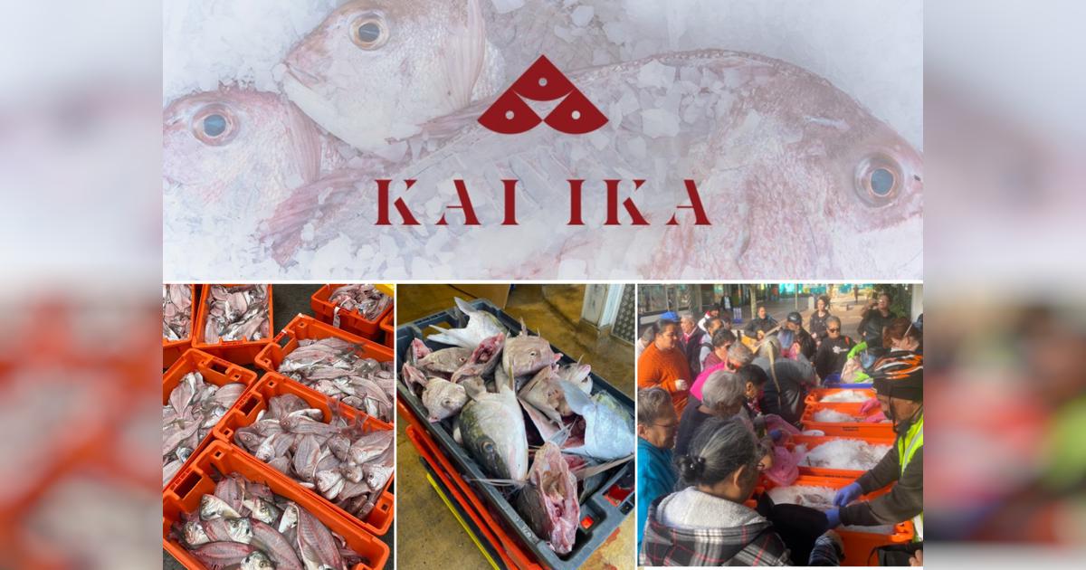The Kai Ika Project - Wellington - Givealittle