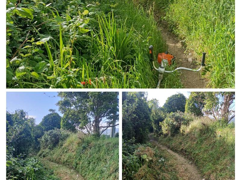 WTP Trail Trimmers Support - Updates - Givealittle
