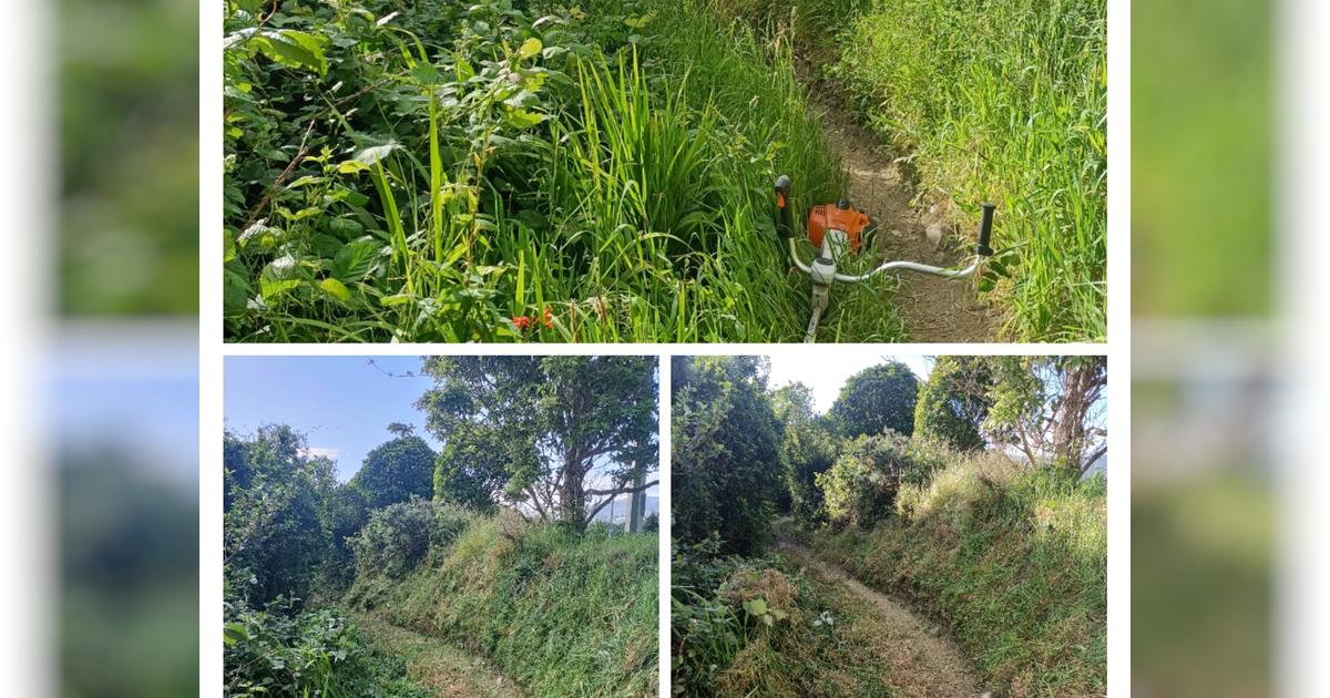 WTP Trail Trimmers Support - Givealittle