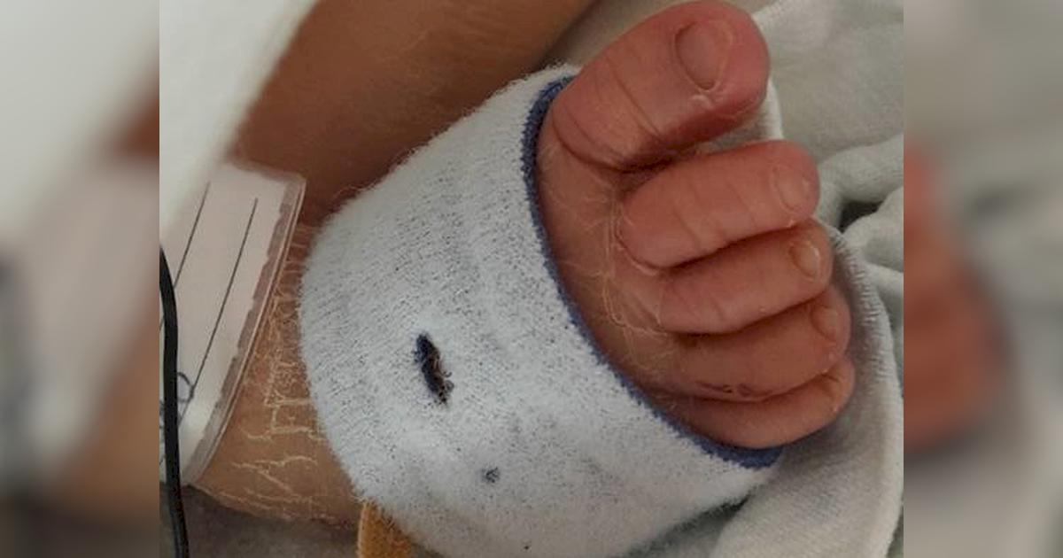 Elijah Lowe - Givealittle