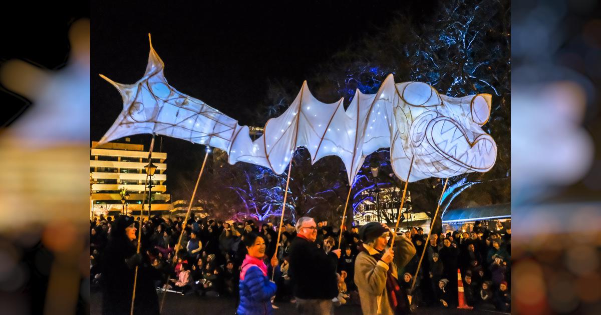 Dunedin Midwinter Carnival 2019 - Givealittle