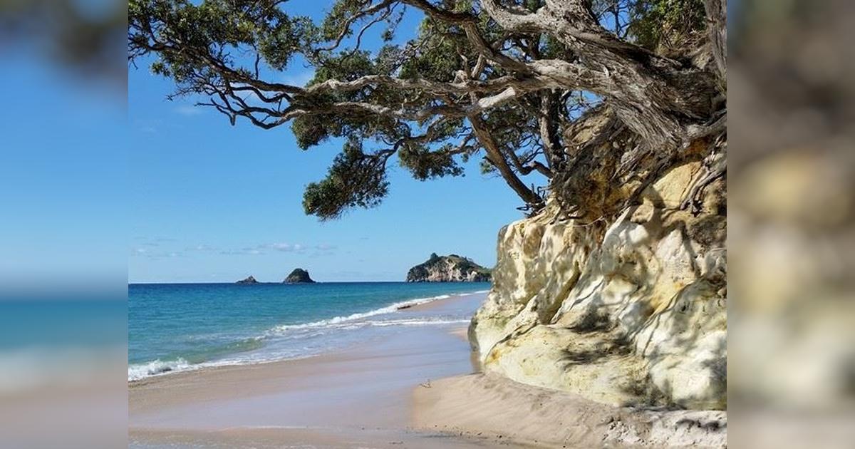 Coromandel Watchdog of Hauraki - Givealittle