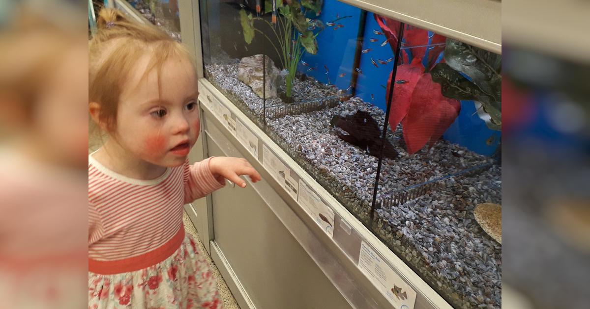Help Kora raise funds for a sensory fish tank - Givealittle