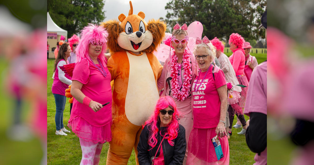 Breast Cancer Pink Walk & Run 2024 - Givealittle
