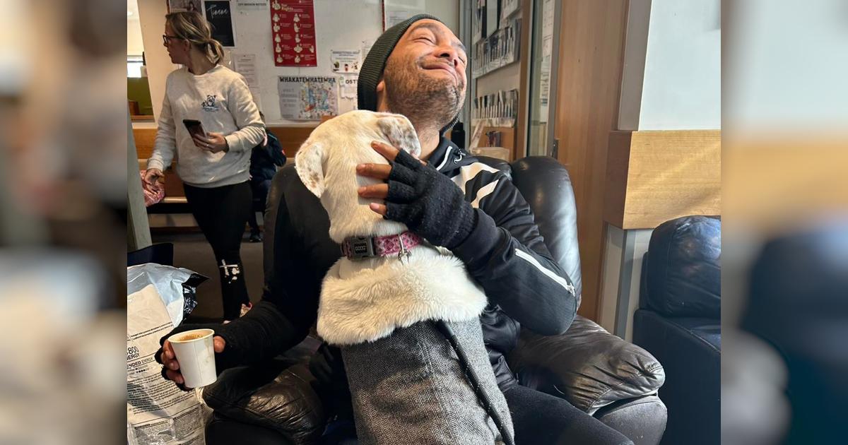 Street Tails Event - Pet's Of The Homeless Project - Givealittle