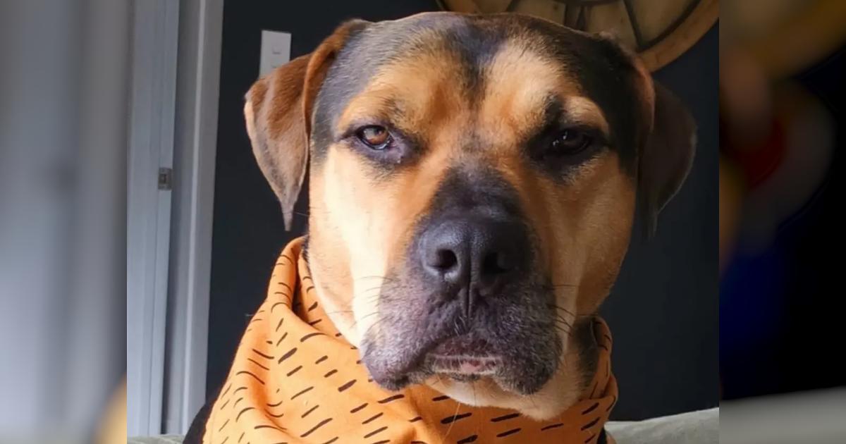 Barry’s Food Bank - Givealittle