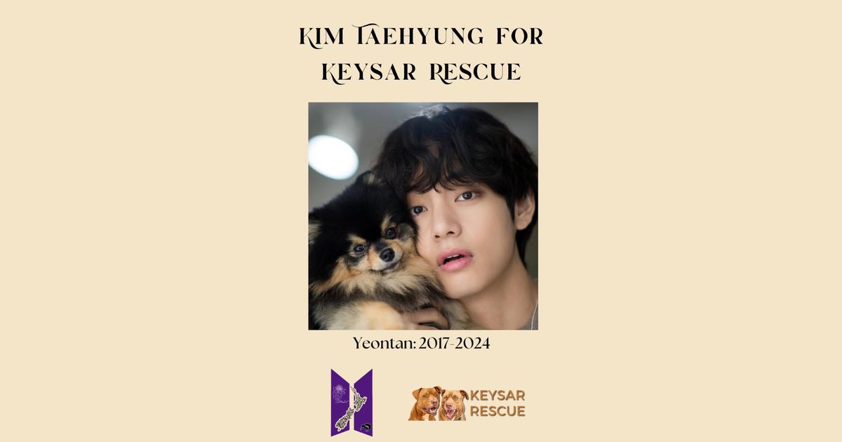 BTS V for Keysar Rescue - Givealittle