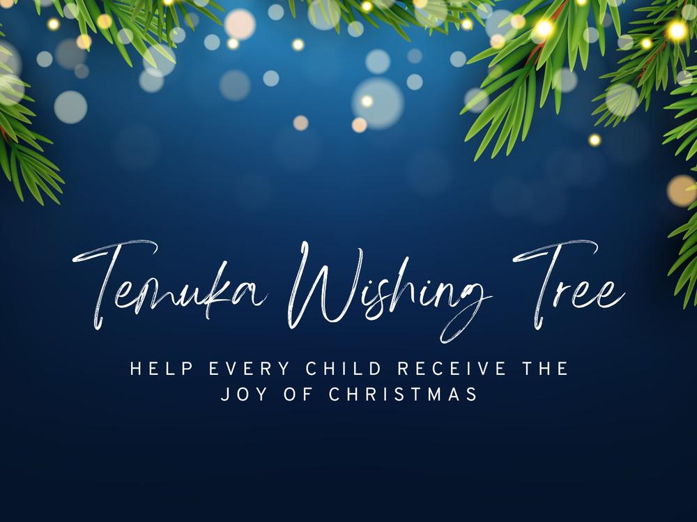The Temuka Wishing Tree is back! Help every Temuka child experience the ...