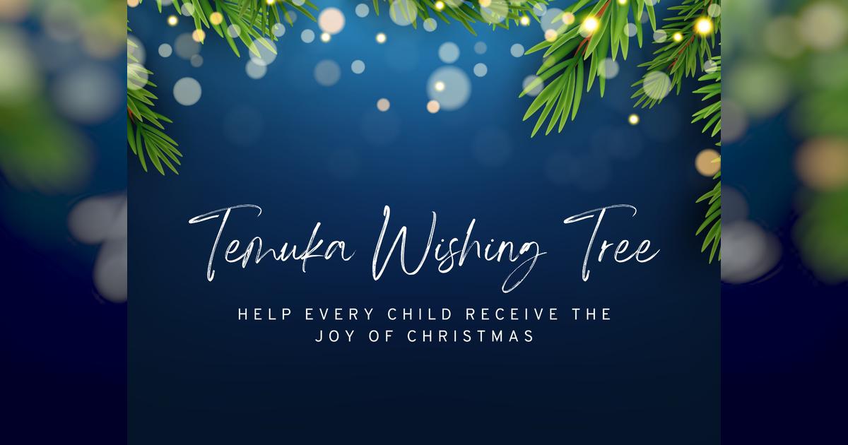The Temuka Wishing Tree is back! Help every Temuka child experience the ...