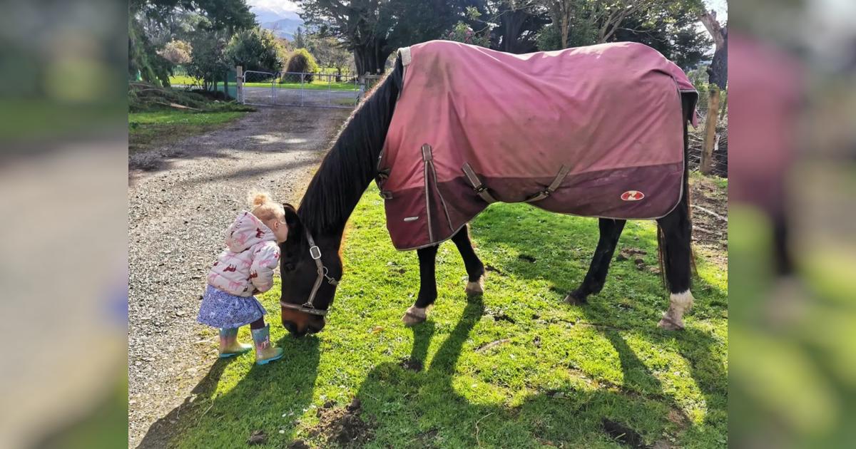 Chewy's final farewell - Givealittle