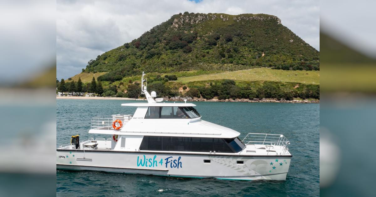 BUY THE BERTH CAMPAIGN - Givealittle