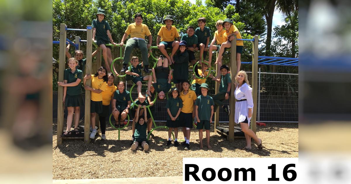 Onehunga Primary School Room 16 - Givealittle