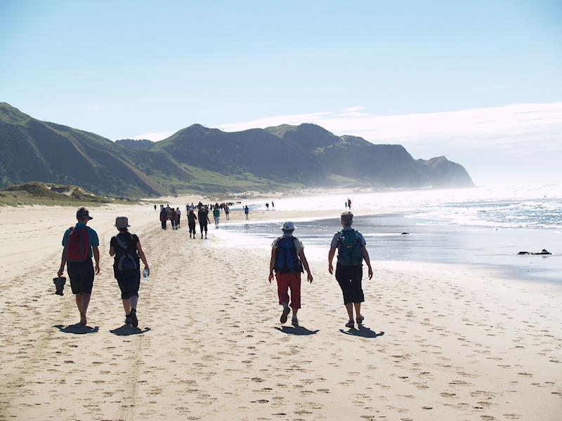 Multicultural New Zealand/New Zealand Newcomers Network - Givealittle