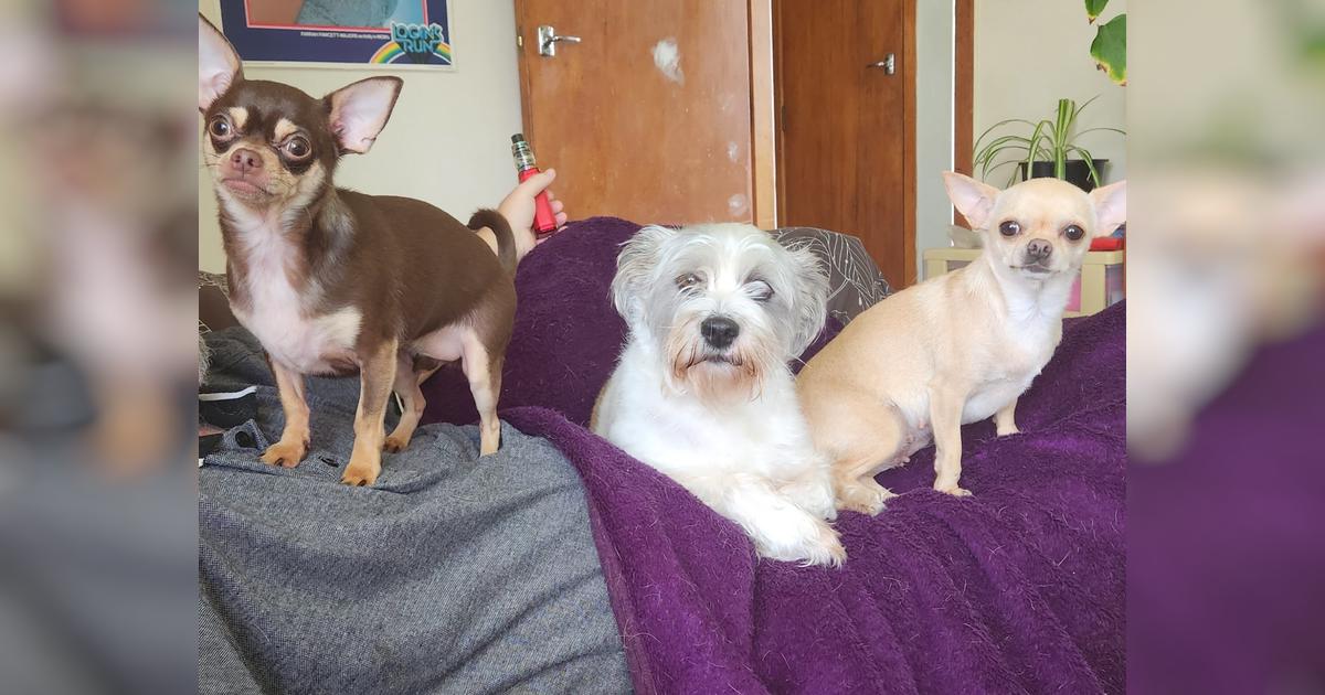 Without a home - Givealittle