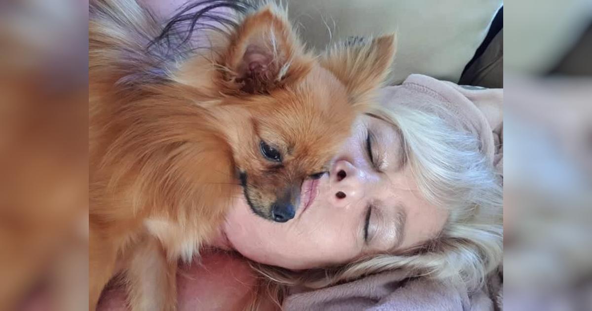 GRIEVING DOG OWNER TRYING TO MOVE ON - Givealittle