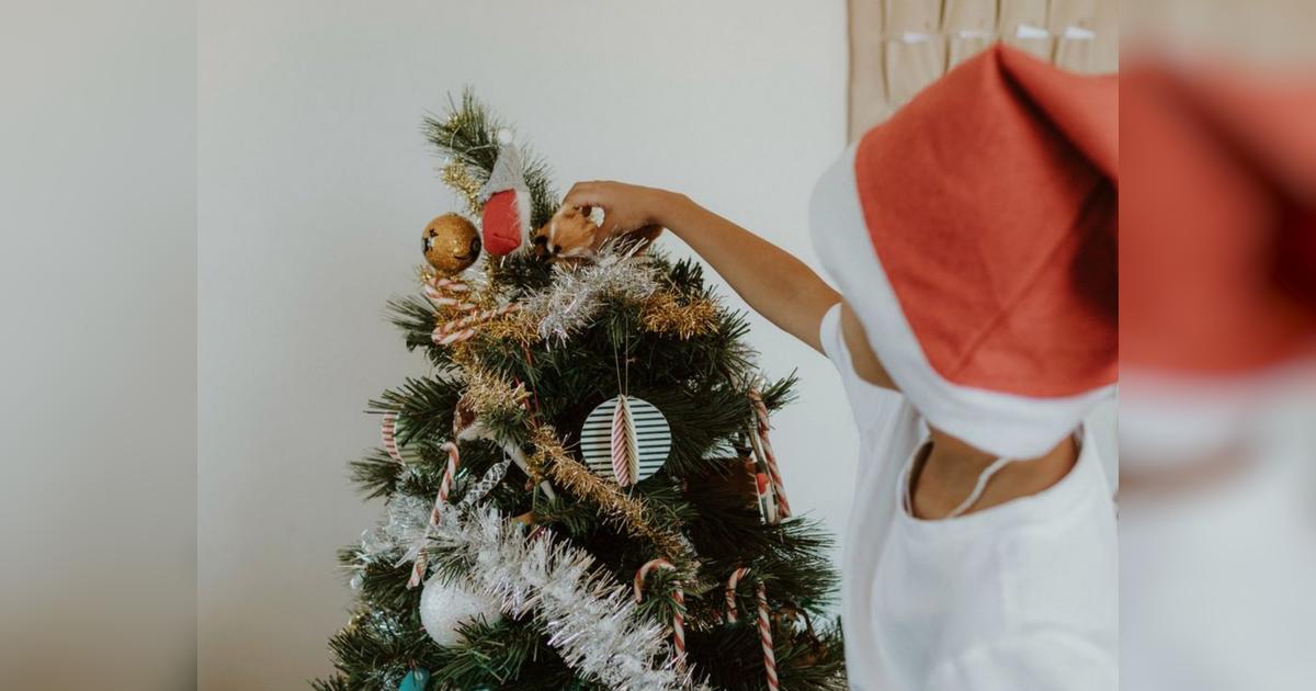 Kindness Spreading Christmas Joy with the Kindness Collective - Givealittle