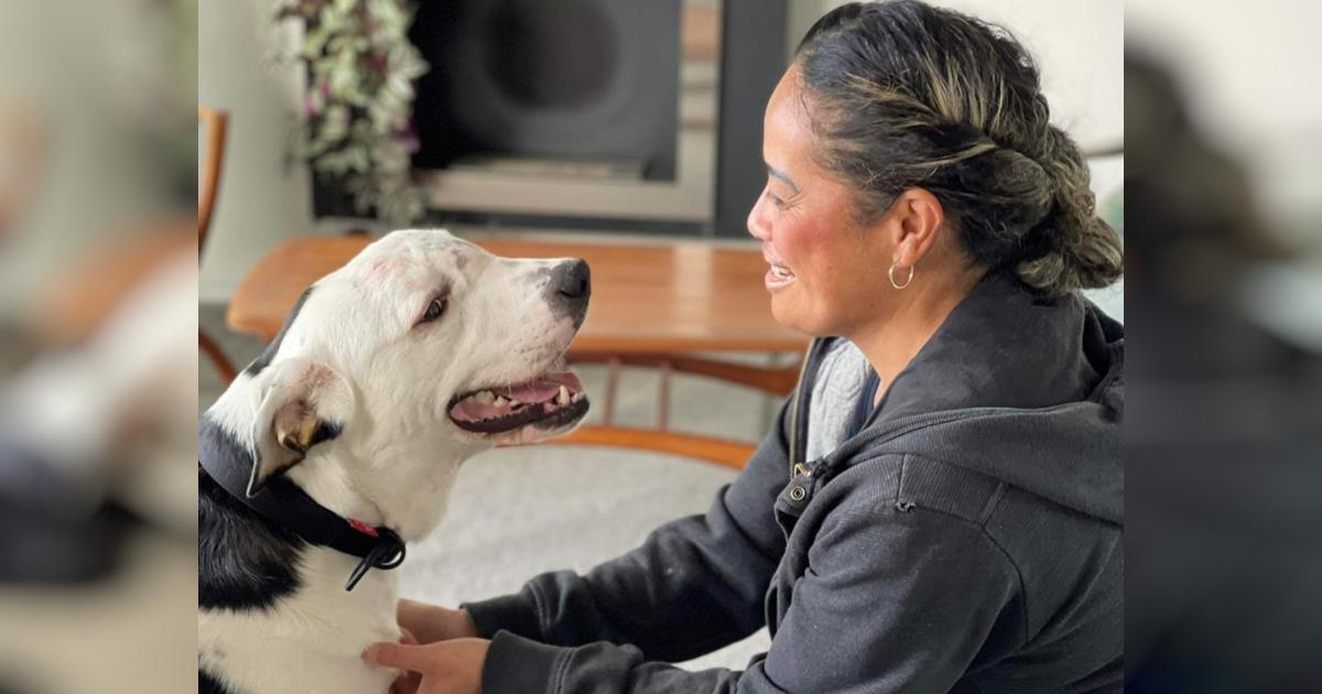 ‘KEYSAR’ needs your help to save my fur friends! - Givealittle