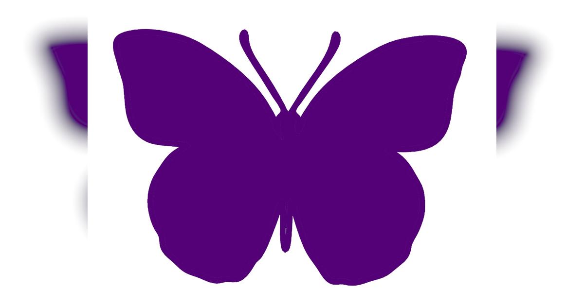 Bringing the Purple Butterfly initiative to NZ - Givealittle