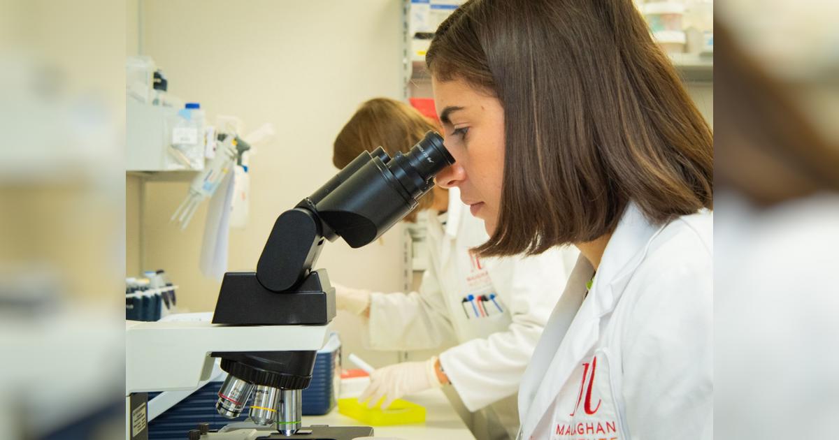 Malaghan Institute of Medical Research - Givealittle