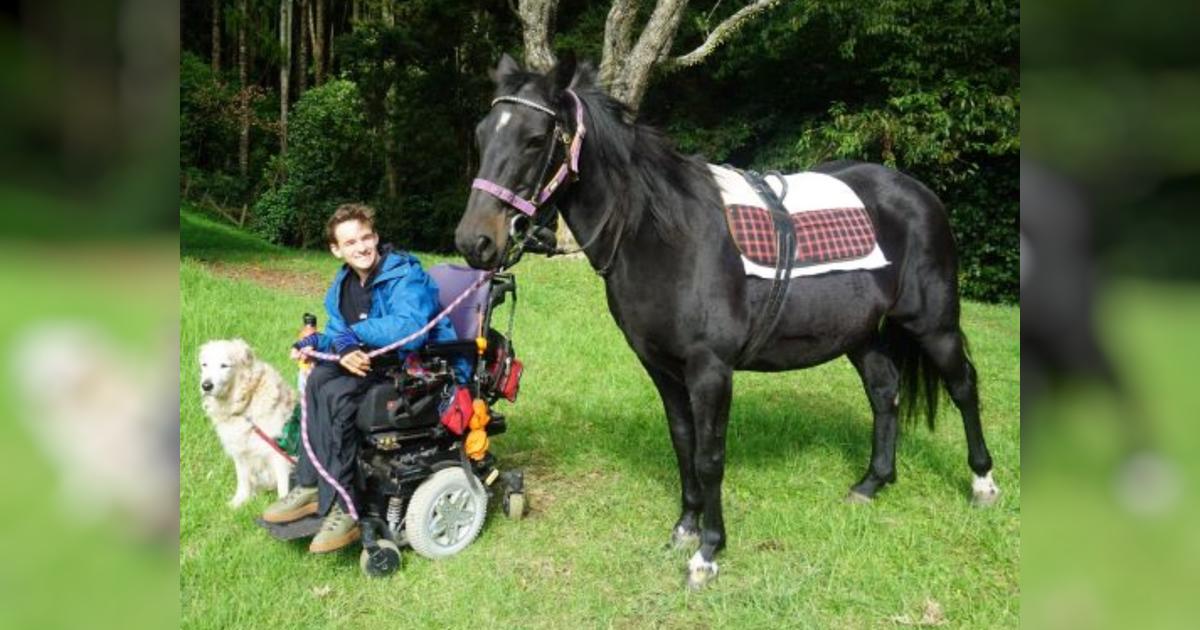 New Zealand Riding for the Disabled (NZRDA) - Givealittle