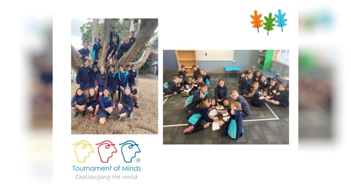 Help our TOM teams to get to Wellington! - Givealittle