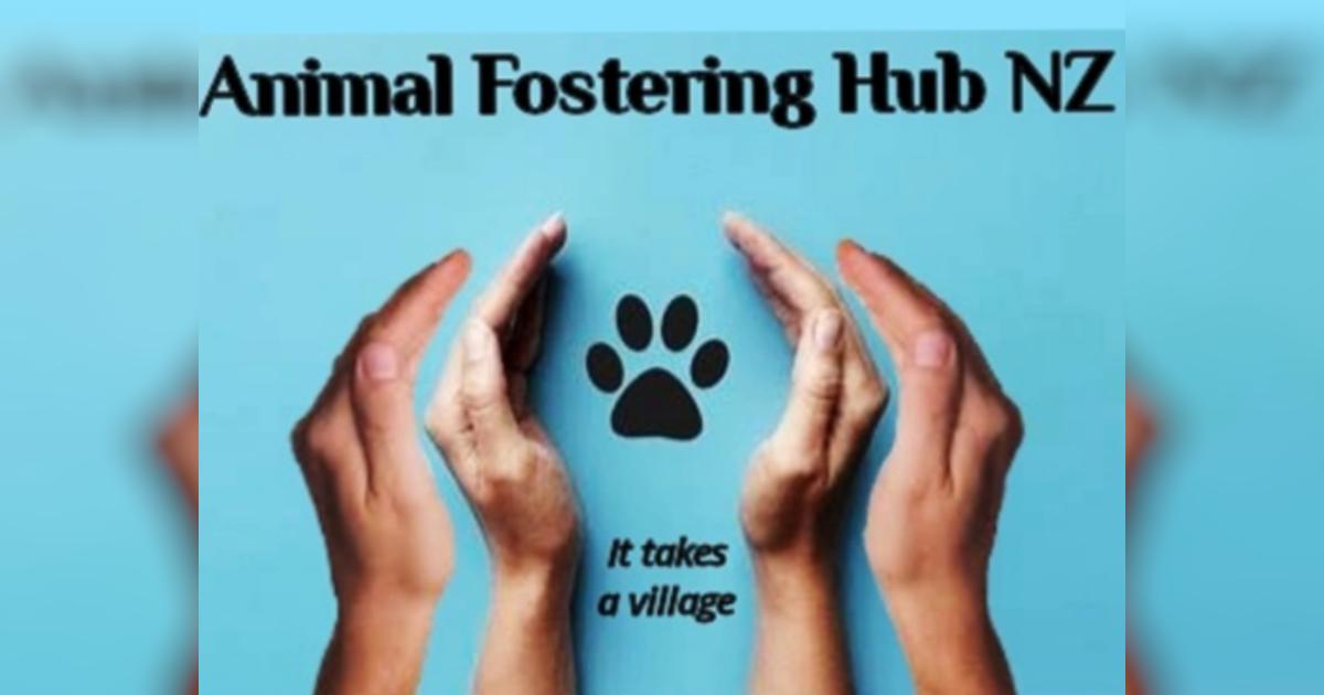 Animal Fostering Hub NZ - support us to support them ♡ - Givealittle