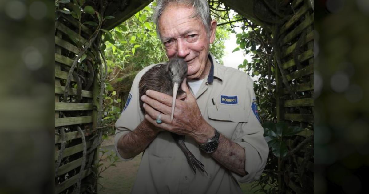 Help the Whangārei Bird Recovery Centre from permanent closure ...