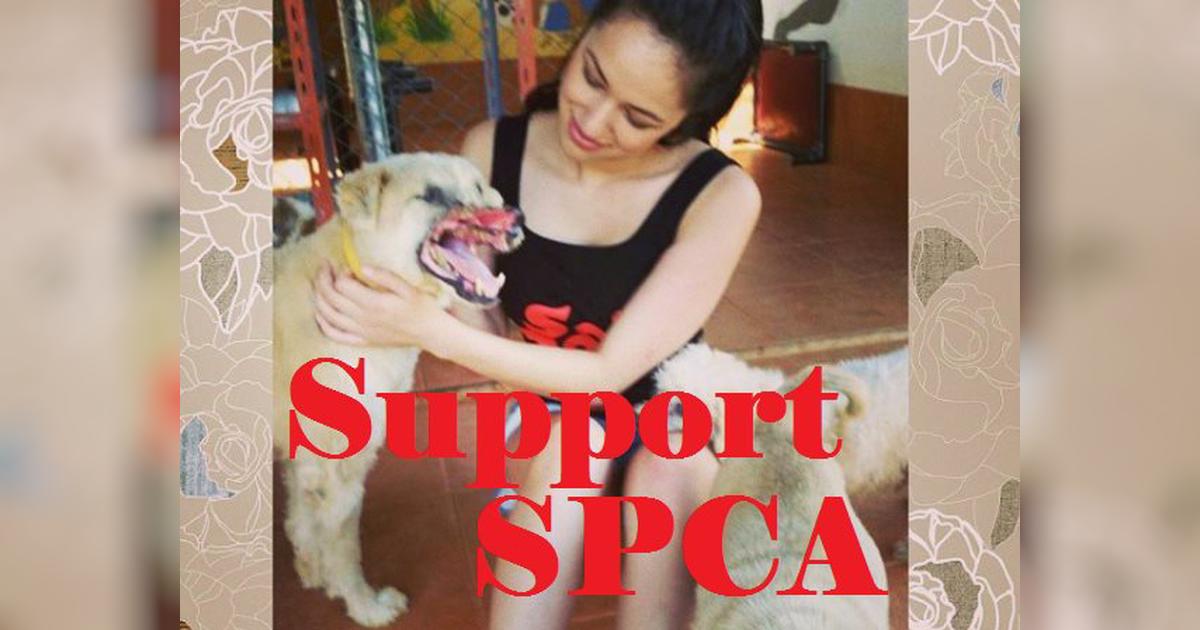 Help feed and shelter animals - Donate to Rotorua SPCA! - Givealittle