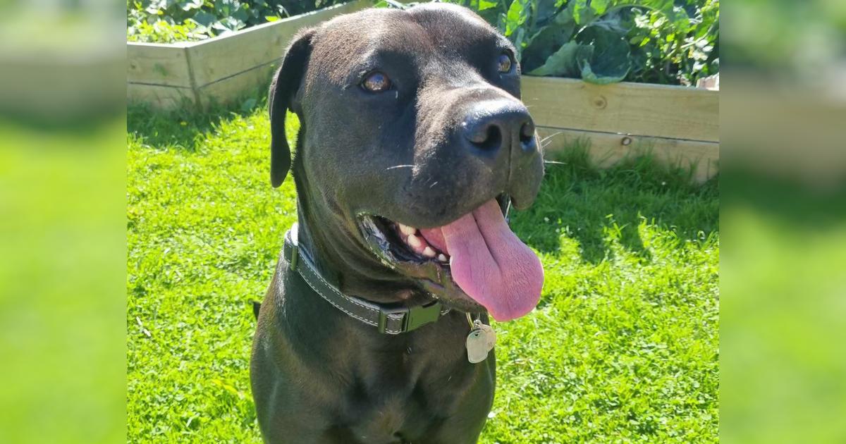 Doug needs your help - Givealittle