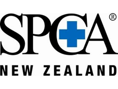 SPCA New Zealand - Givealittle