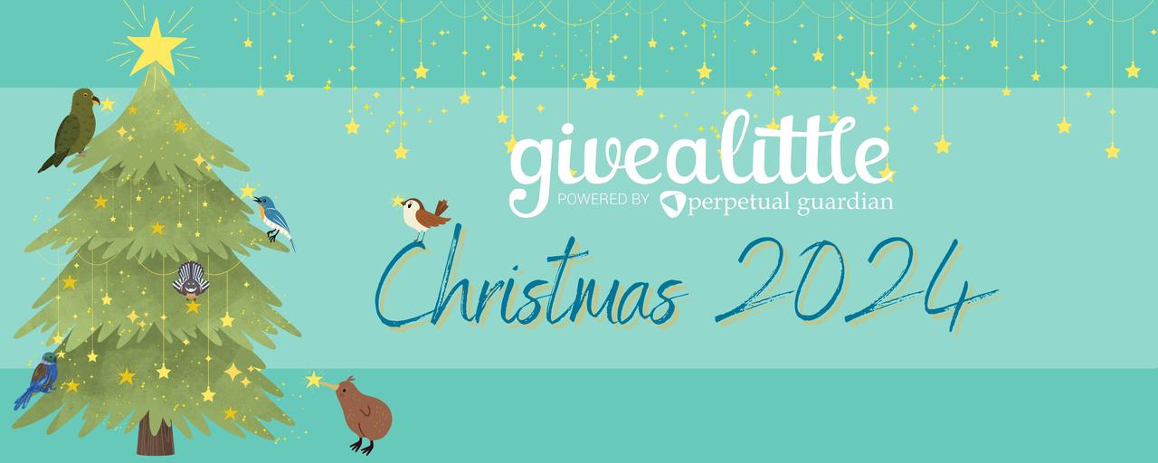 Givealittle Christmas Cheer 2024 - Givealittle